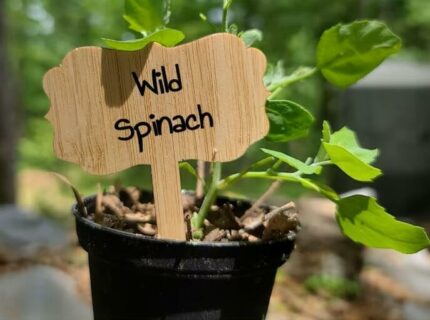 11 Garden Labels Tailored for Your Plants and Garden Type - Custom ...