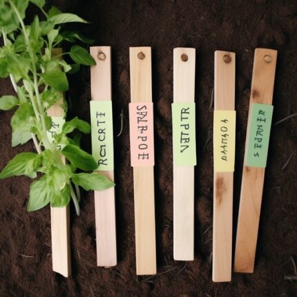6 Lovely DIY Plant Markers for Small Gardens: Step-by-Step Guides ...