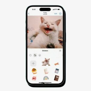 How to Make Stickers on iPhone? 5 Minutes to Master Photo Cut Out iOS ...