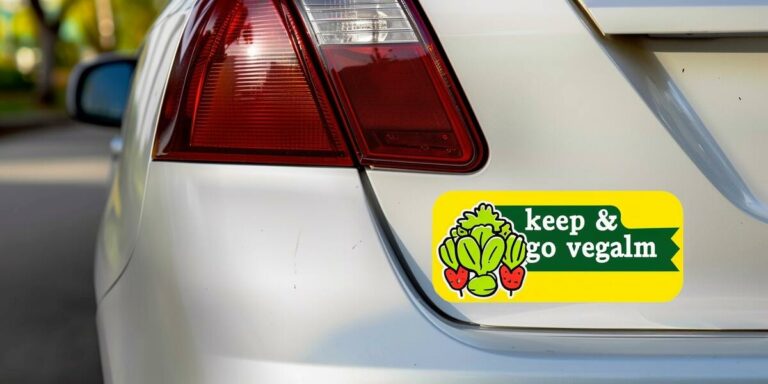 Best Bumper Sticker Size Chart for All Types of Vehicle - Custom ...