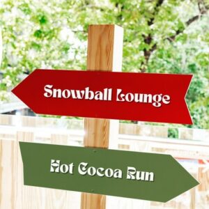 Apres Ski Party: How to Host the Best Ski Themed Party at Home (29 ...